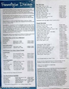 Norwegian Star Freestyle Daily – cruise with gambee